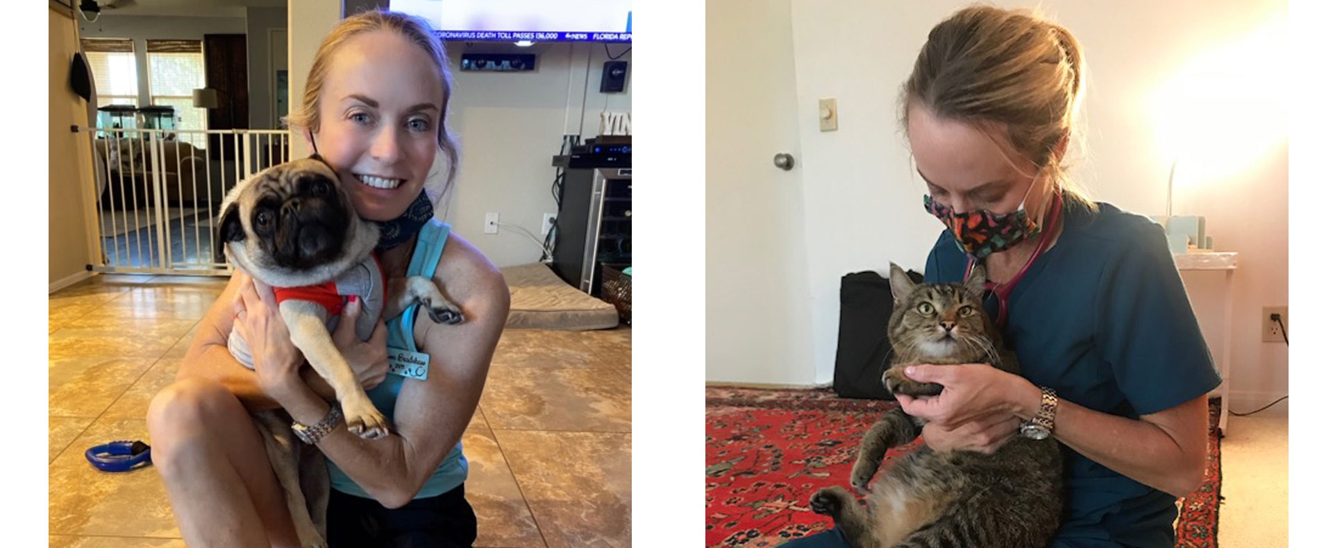 Home - Mobile Veterinary Practice