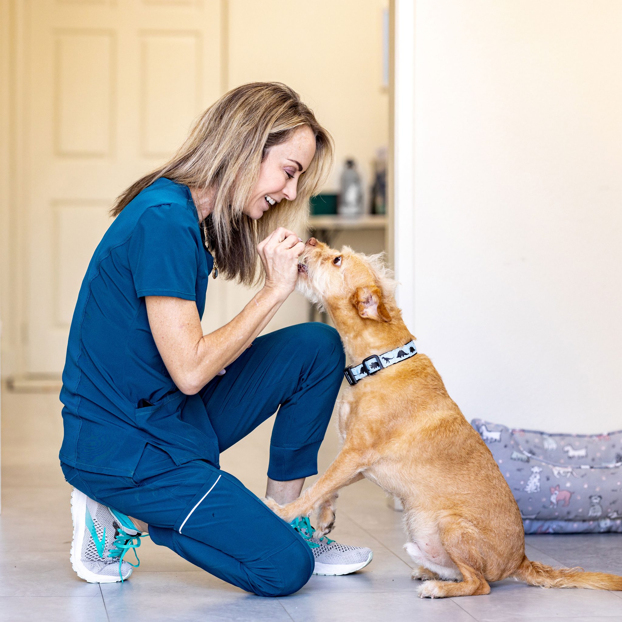 Home - Mobile Veterinary Practice