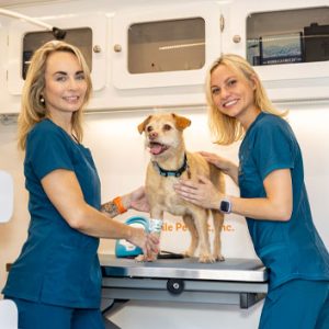 Our Services - Mobile Veterinary Practice