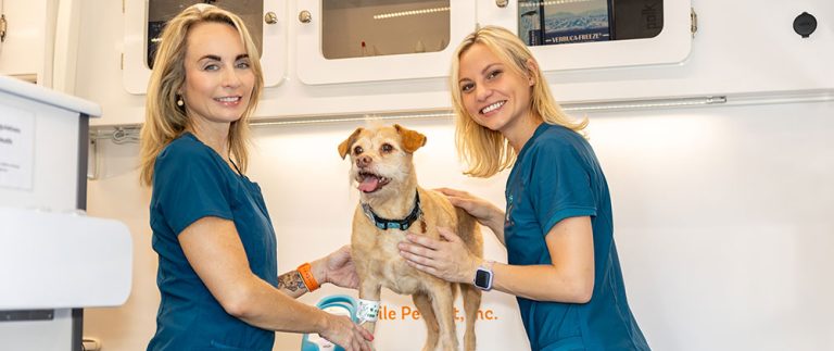 Diagnostics - Mobile Veterinary Practice