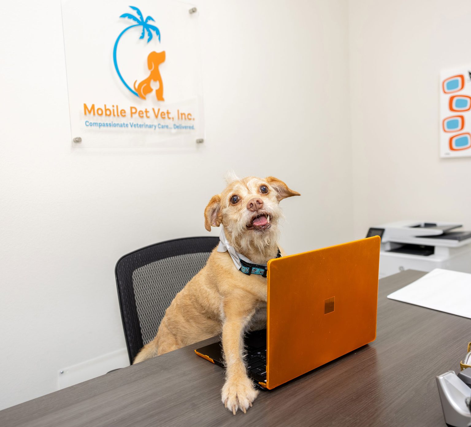 Contact Us - Mobile Veterinary Practice